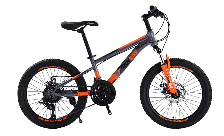 TIANJIN PEERLESS BICYCLE CO.TD[Официальный сайт]